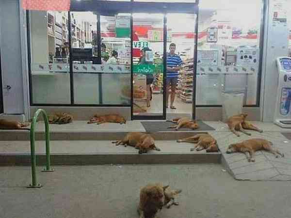 到泰国必逛7-11可能有你所不知道的“秘密” | 新生活报 - ILifePost爱生活