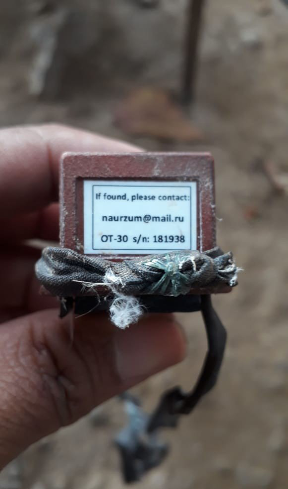 男子在沼泽地“发现一只逝去的老鹰”！ 身上装了“20年GPS定位装置” | 新生活报 - ILifePost爱生活