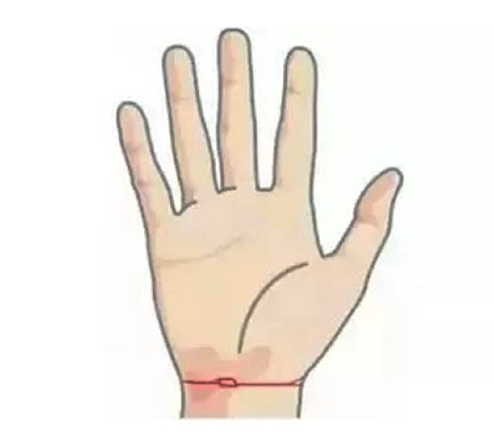 【看相识人·手相】 手腕带“金沟” 容易大富大贵 | 新生活报 - ILifePost爱生活