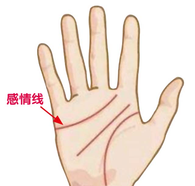 【看相识人】哪些人事业心强？ | 新生活报 - ILifePost爱生活