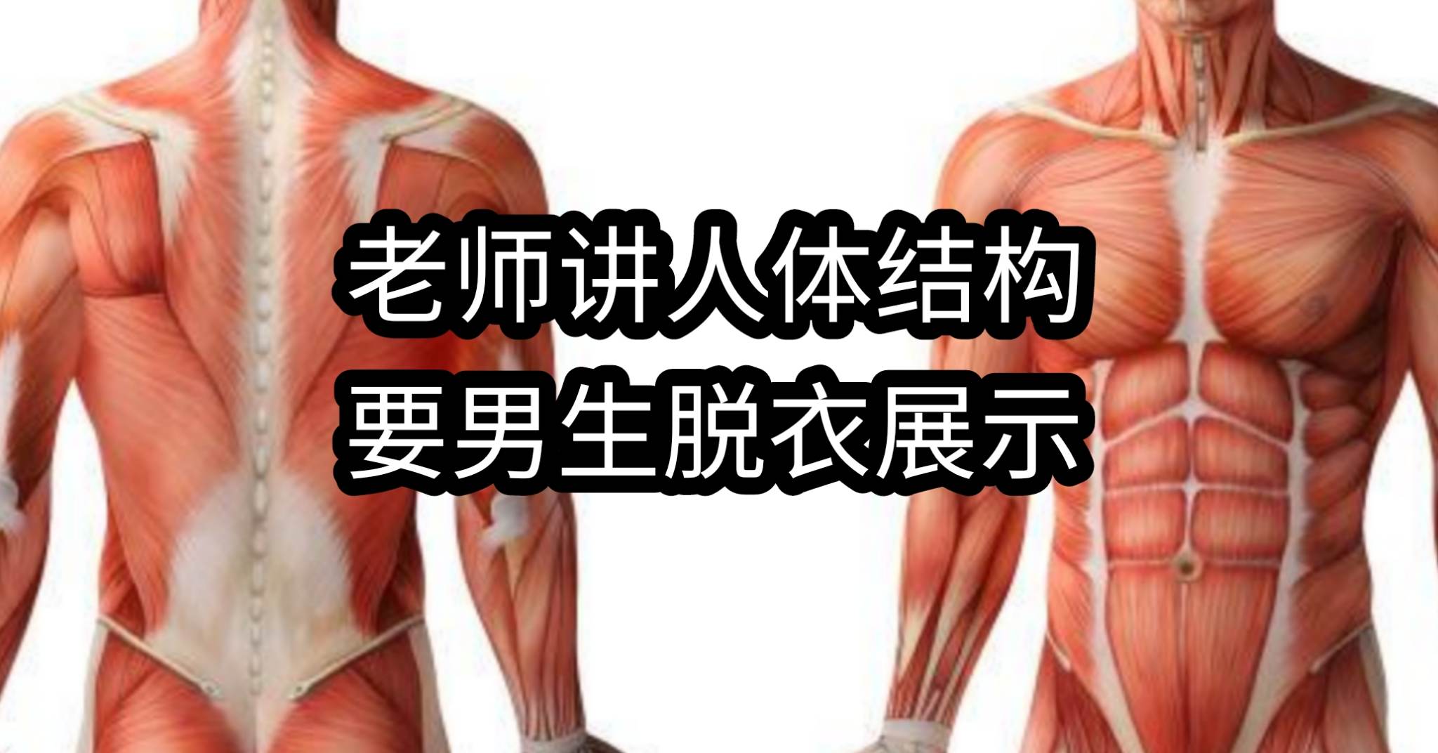 老师讲人体结构要男生脱衣展示 | 新生活报 - ILifePost爱生活