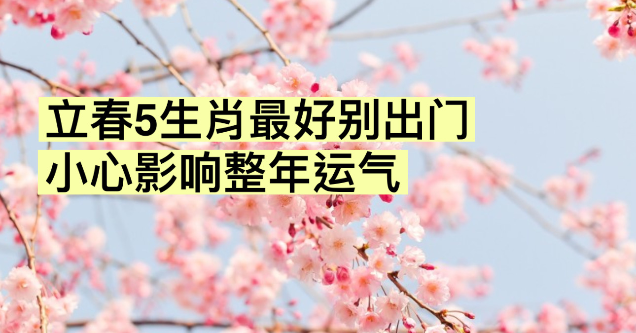 立春5生肖最好别出门 小心影响整年运气 | 新生活报 - ILifePost爱生活