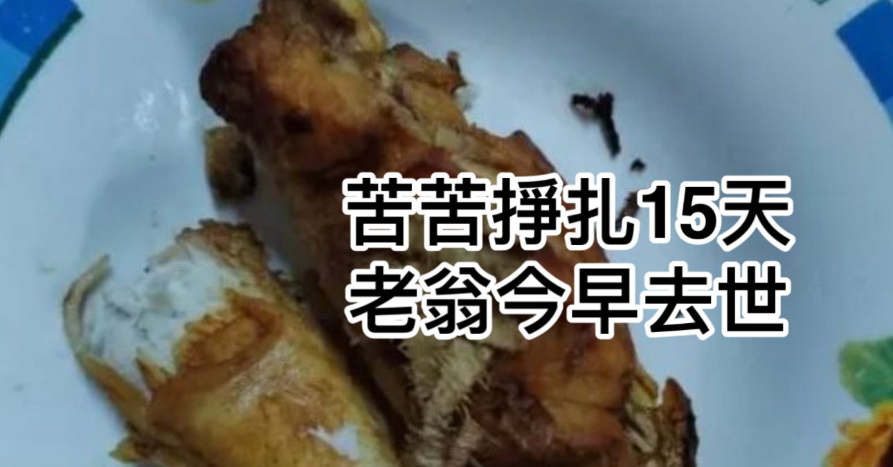 苦苦掙扎15天 吃鸡腿鱼中毒老翁 今早去世 | 新生活报 - ILifePost爱生活