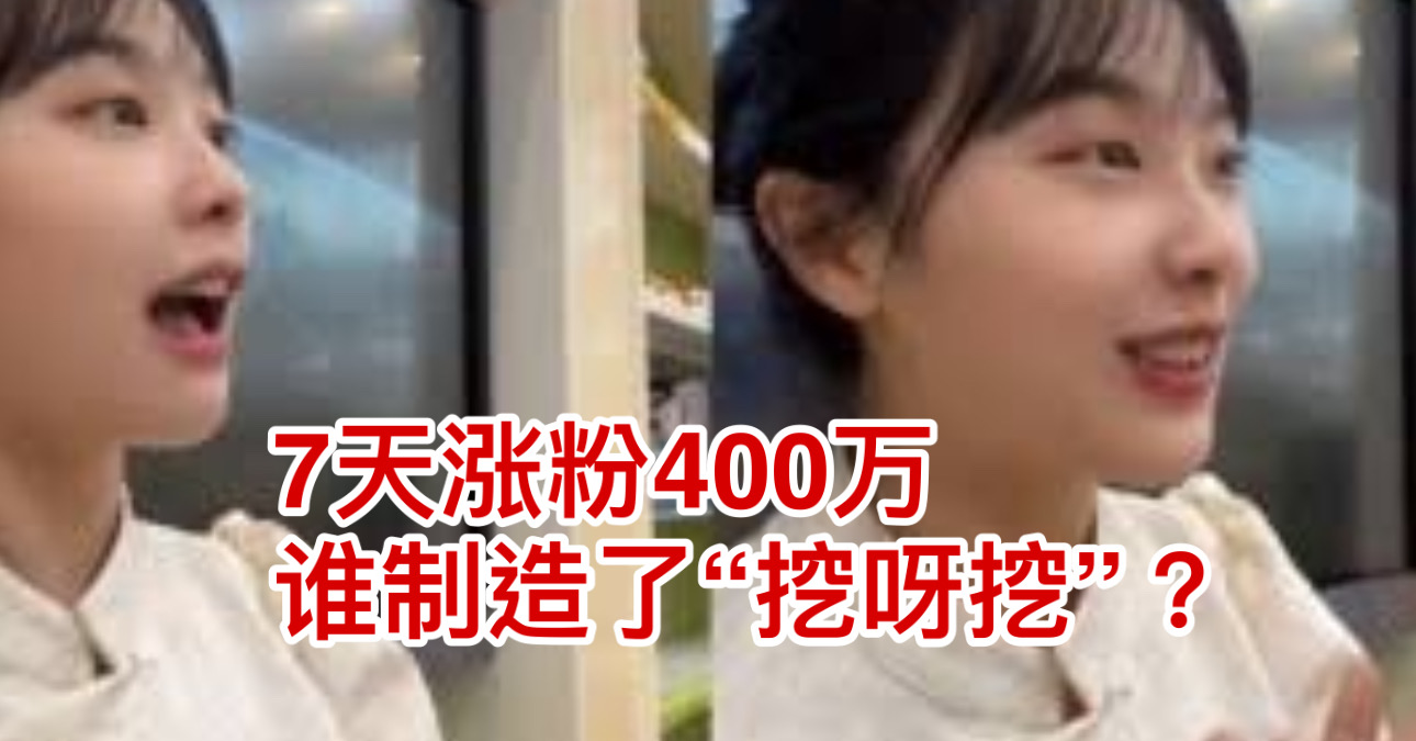 7天涨粉400万 谁制造了“挖呀挖”？ | 新生活报 - ILifePost爱生活