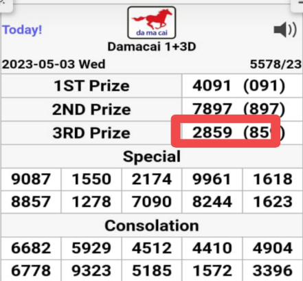 火爆五月天 旺字报喜讯 | 新生活报 - ILifePost爱生活