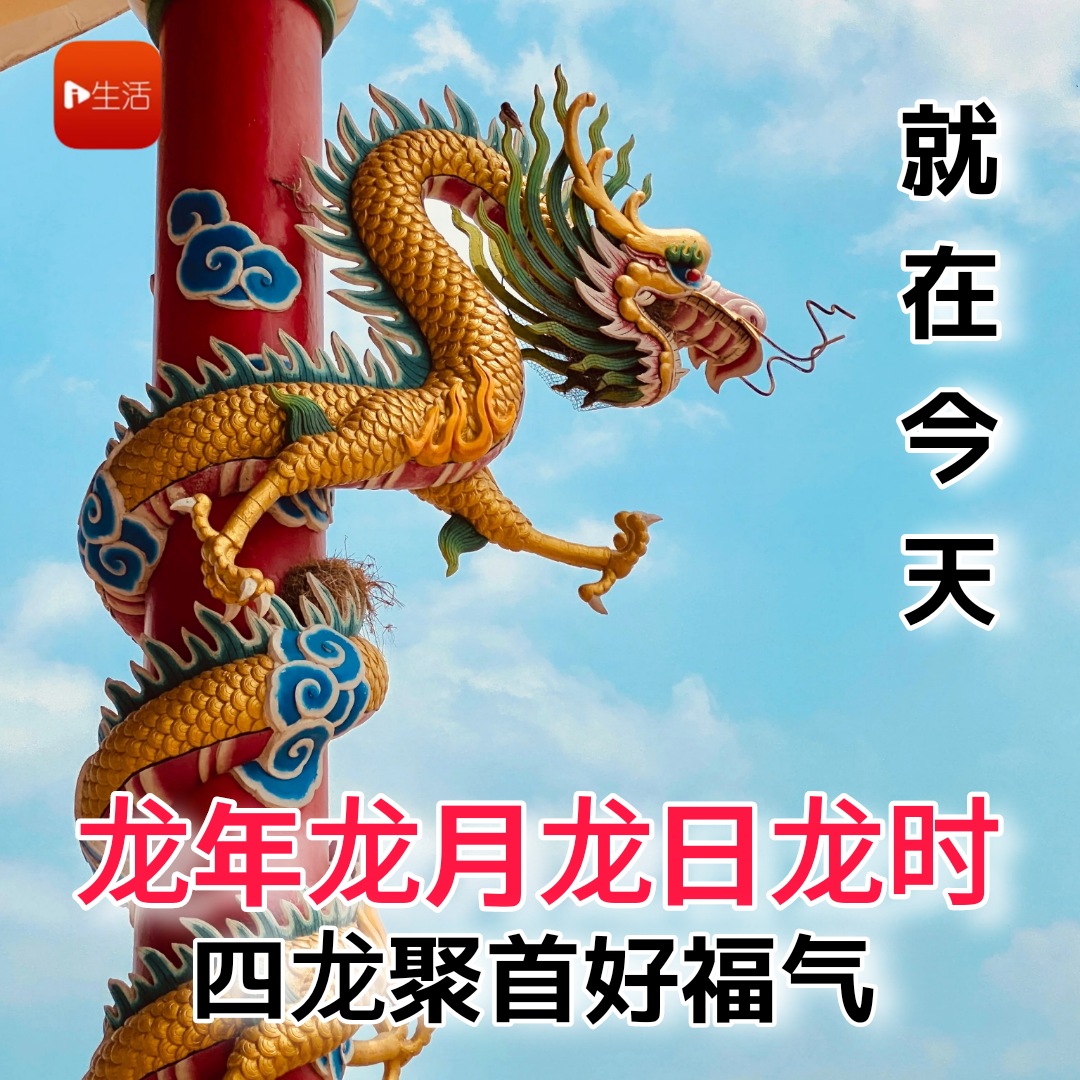 就在今天 龙年龙月龙日龙时 四龙聚首好福气 | 新生活报 - ILifePost爱生活