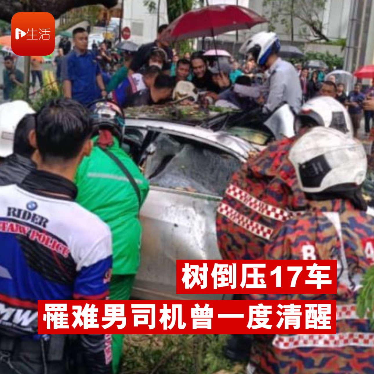 树倒压17车 罹难男司机曾一度清醒 | 新生活报 - ILifePost爱生活