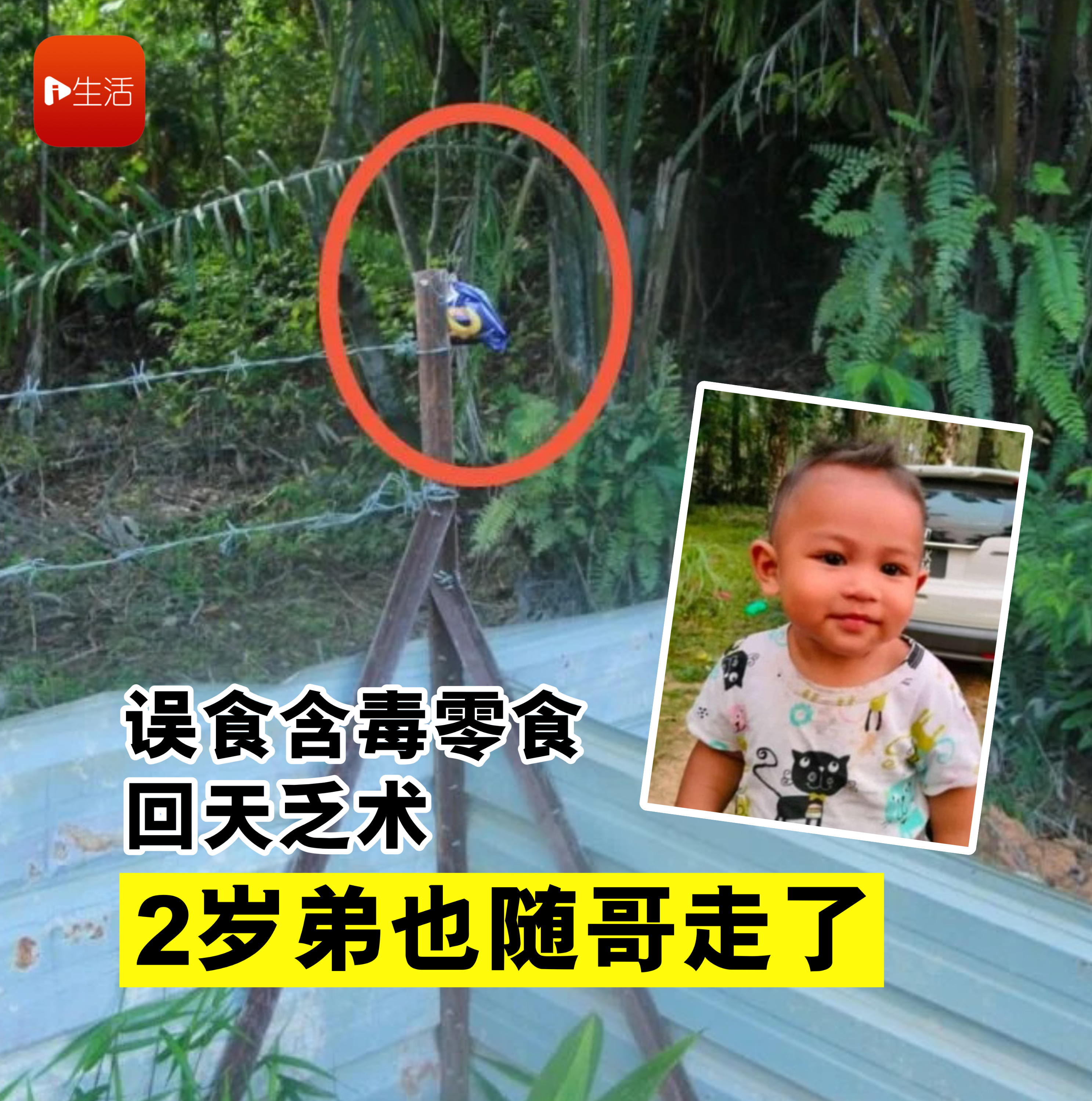 误食含毒零食回天乏术 2岁弟弟也随哥哥走了 | 新生活报 - ILifePost爱生活