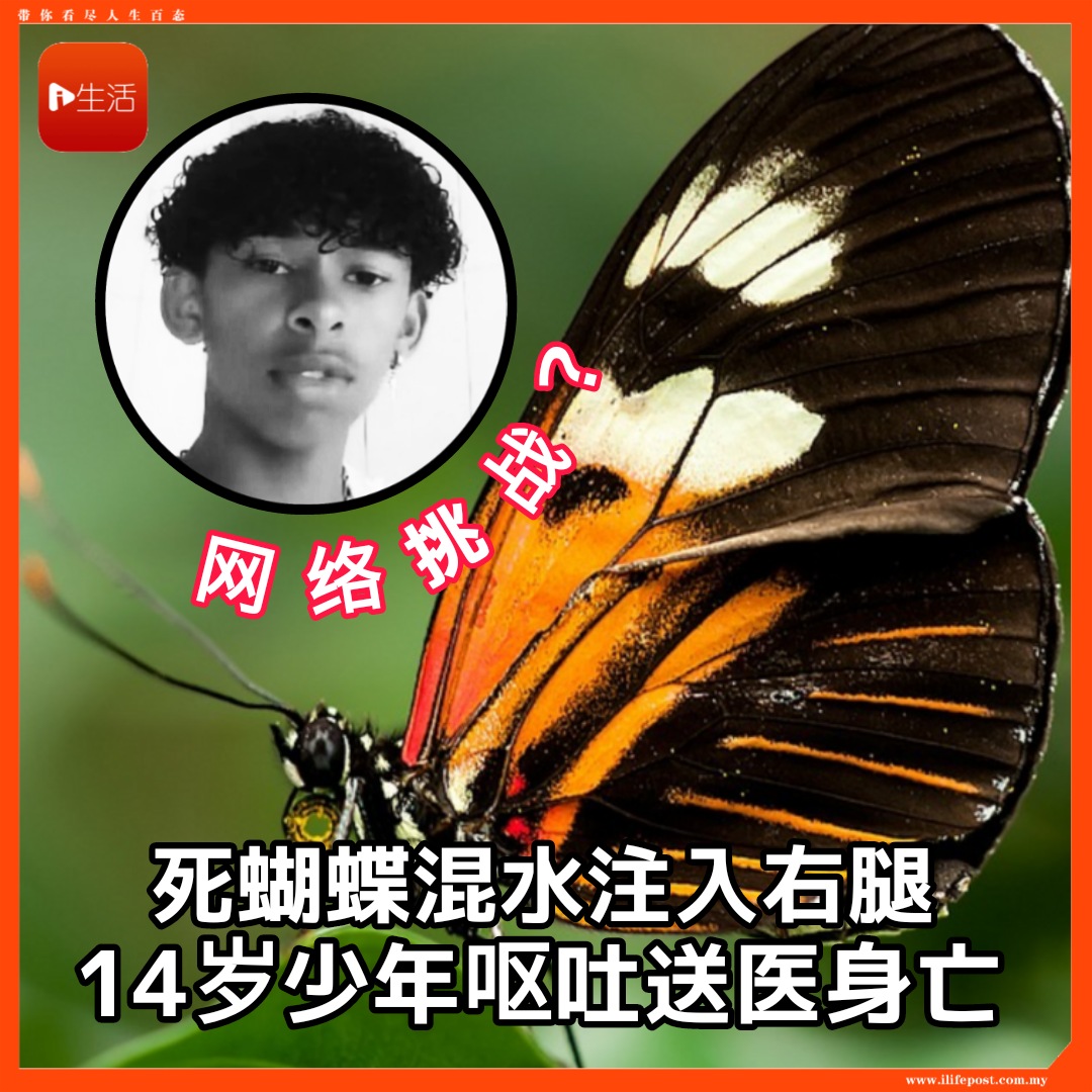 网络挑战？ 死蝴蝶混水注入右腿 14岁少年呕吐送医身亡 | 新生活报 - ILifePost爱生活
