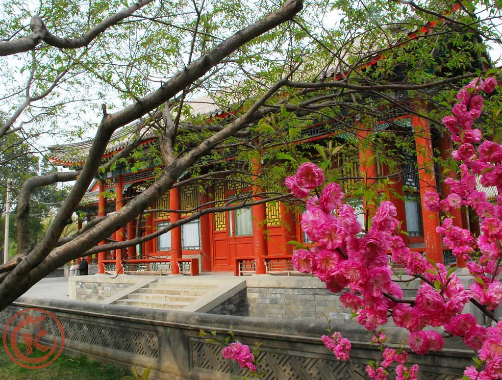 春分将至 4生肖准备翻身 财运一路狂飙 | 新生活报 - ILifePost爱生活