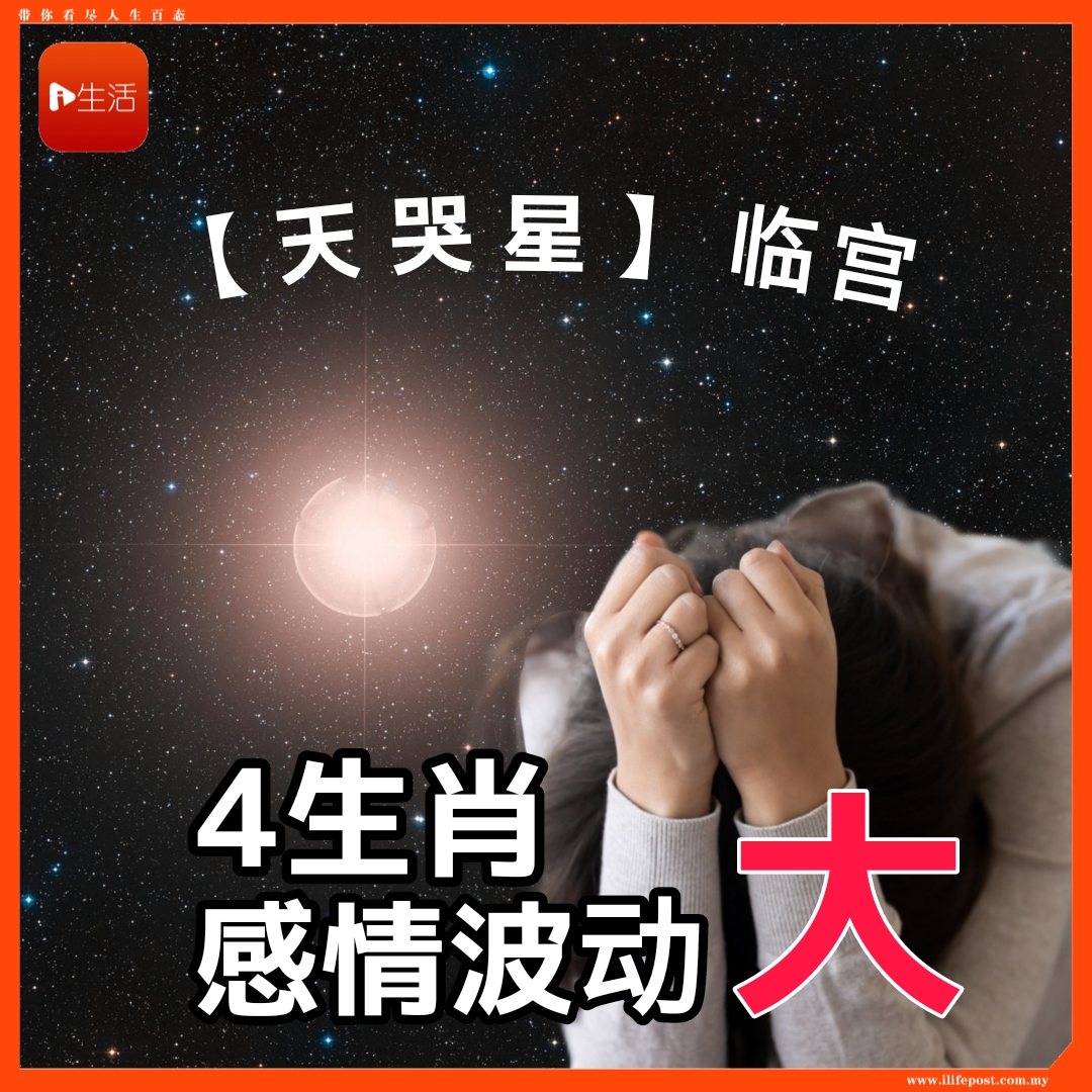 【天哭星】临宫 4生肖感情波动大 | 新生活报 - ILifePost爱生活