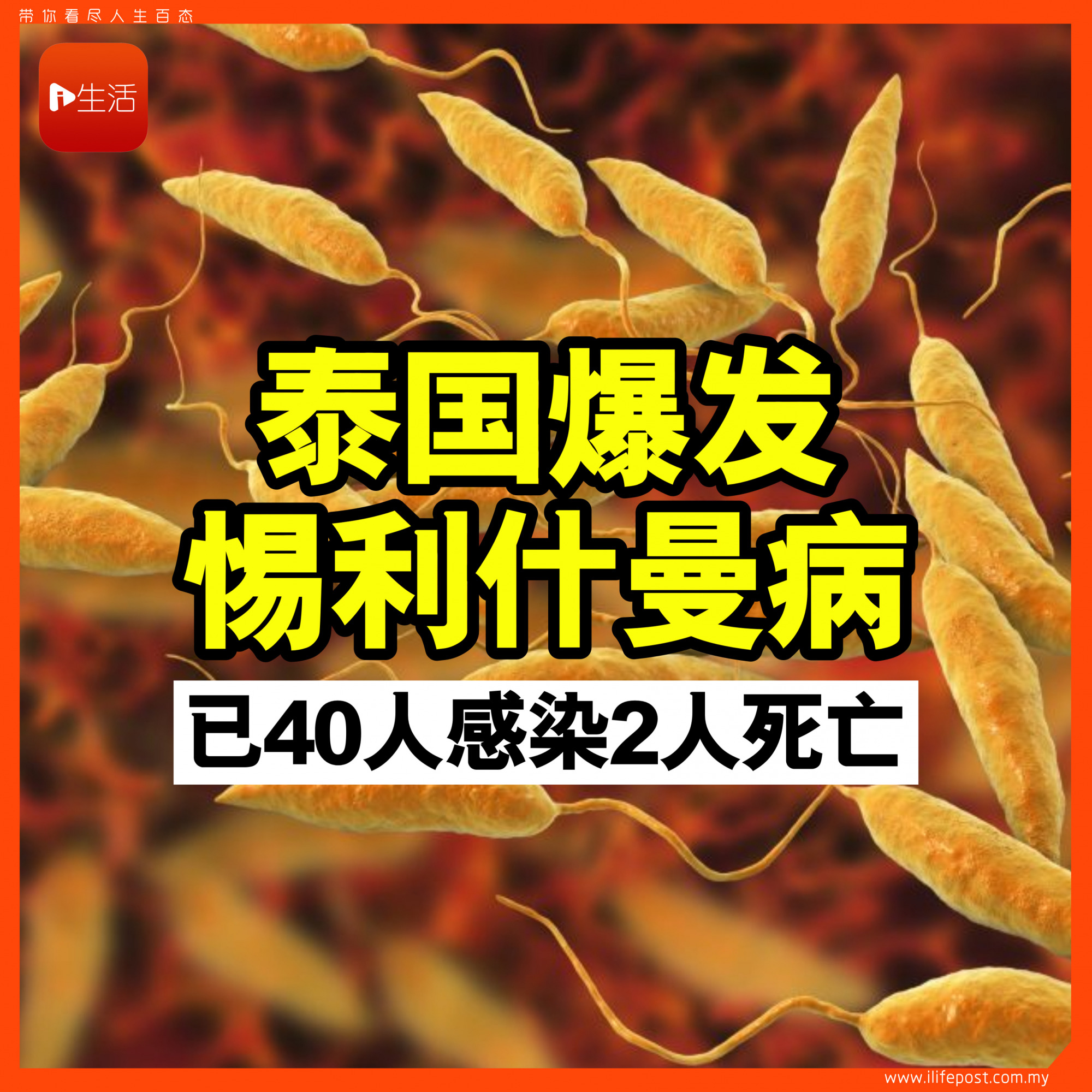 泰国爆发惕利什曼病 已40人感染2人死亡 | 新生活报 - ILifePost爱生活