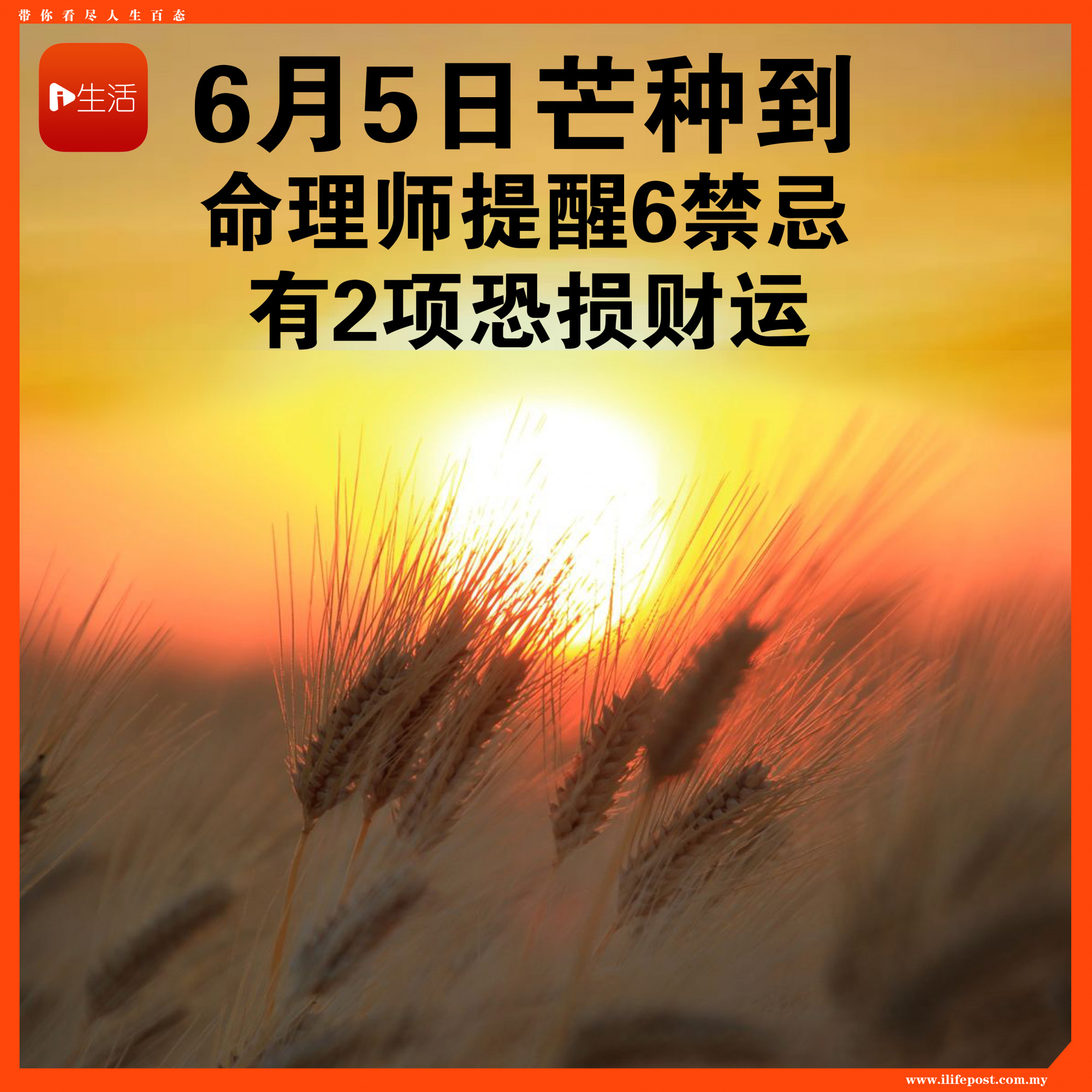 芒种到！命理师提6禁忌 “这2项”恐损财运 | 新生活报 - ILifePost爱生活