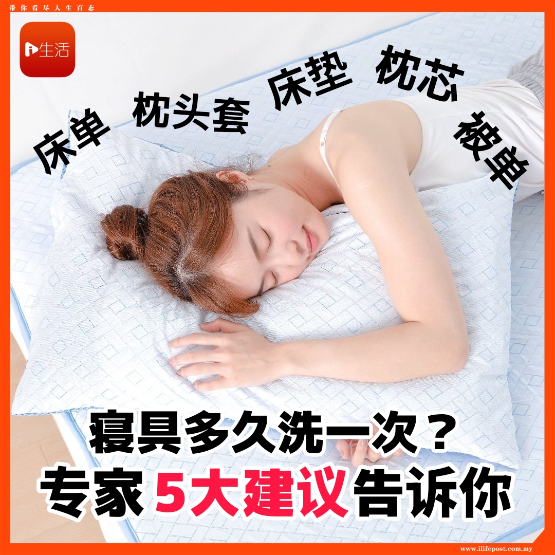 寝具多久洗一次？ 专家5大建议告诉你 | 新生活报 - ILifePost爱生活