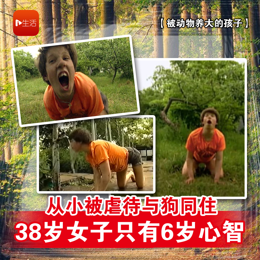 【被动物养大的孩子】 从小被虐待与狗同住 38岁女子只有6岁心智 | 新生活报 - ILifePost爱生活