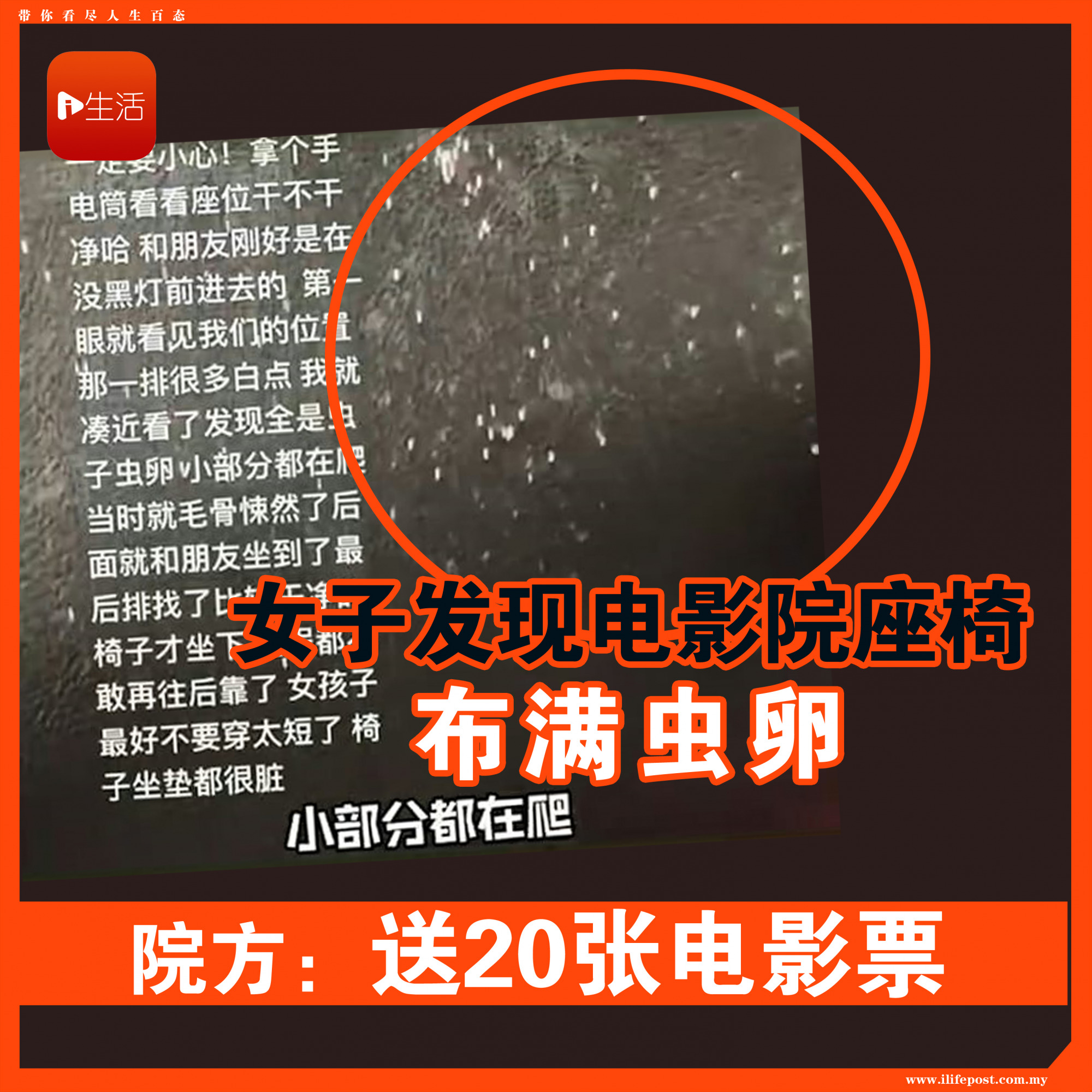 女子发现电影院座椅布满虫卵 院方：送20张电影票 | 新生活报 - ILifePost爱生活